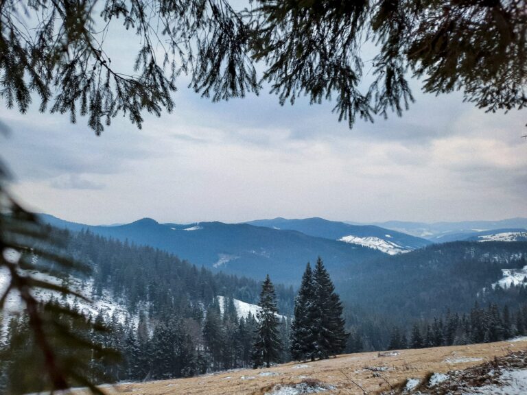 Pasul Palma (Tiroliana) – David Pîțu din Cajvana – Concurs foto